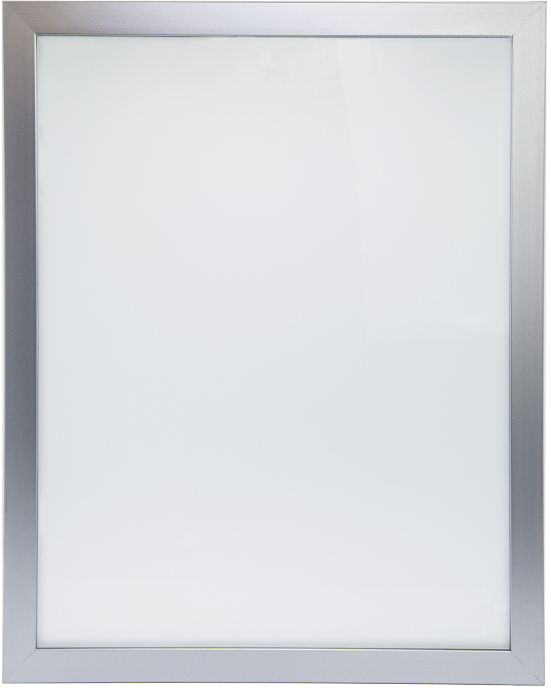 Aluminum Frame Doors: Made In USA - ºelement Designs